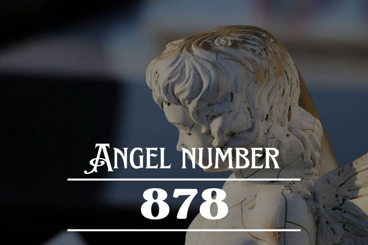 Angel Number 878 Meaning Change Is On The Horizon Angelynum