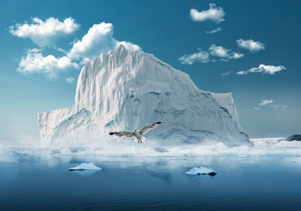 Angel Number 224 Meaning: Grow Your Gratitude - Angelynum